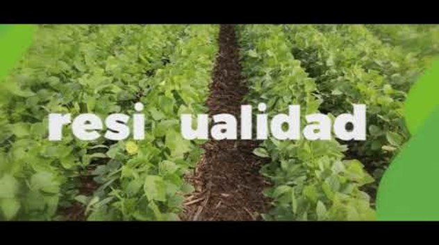 Tailwind Max ADAMA Argentina tailwind-max-adama-argentina