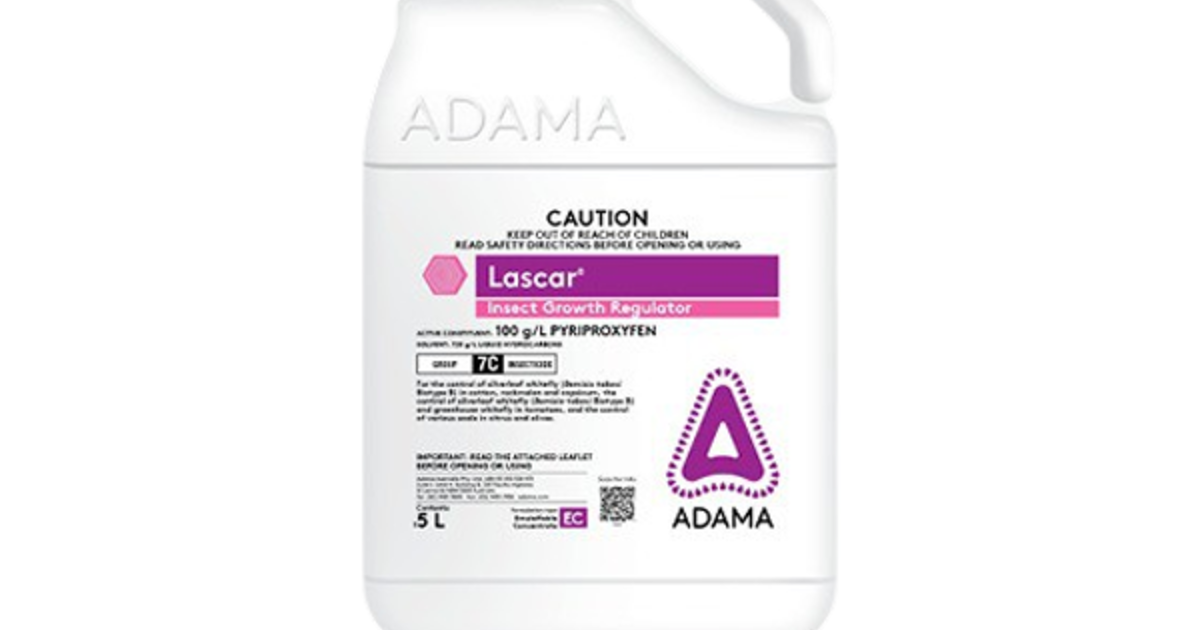 Lascar® | ADAMA Australia