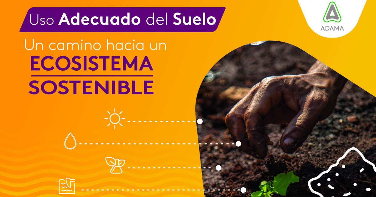Uso adecuado del suelo: Un camino hacia un ecosistema sostenible ...