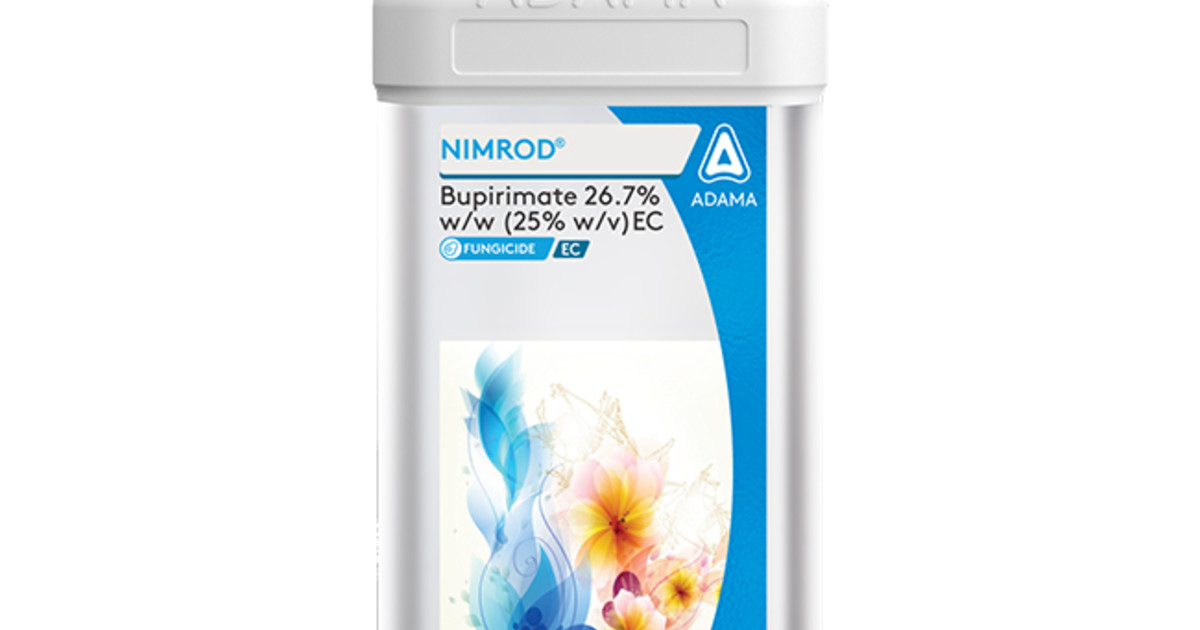 Nimrod | ADAMA India
