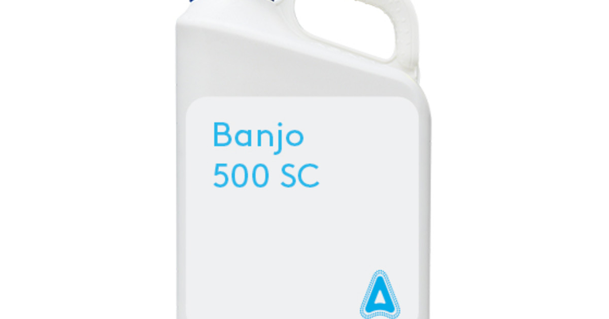 Banjo 500 SC
