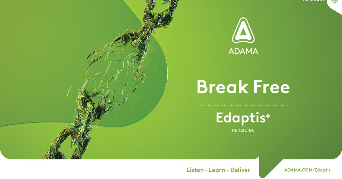 ADAMA Set to Bring Innovation to the European Cereal Herbicide Segment ...