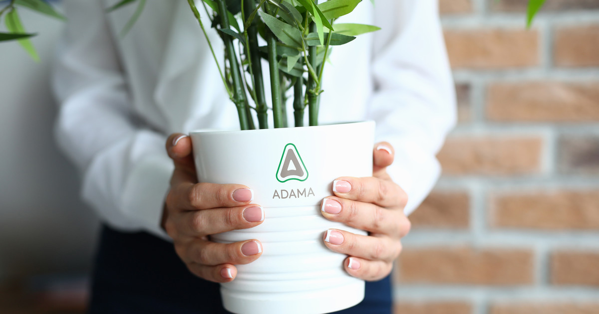 Hi There | ADAMA